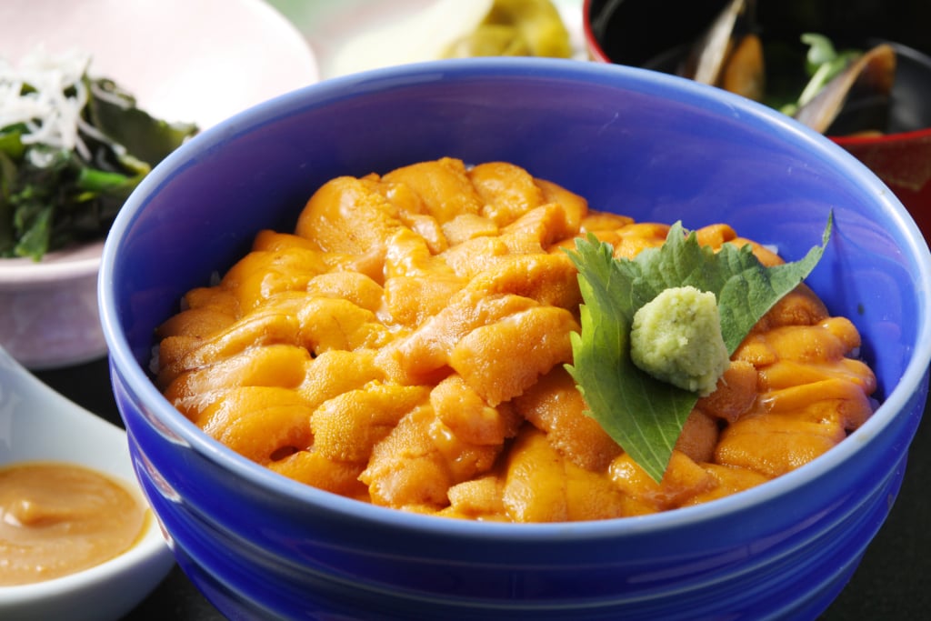 Uni don (うに丼): Sea Urchin Rice Bowl | The Chef Dojo