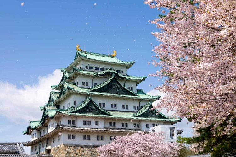 Kishimen (きしめん): Flat Noodles from Nagoya | The Chef Dojo